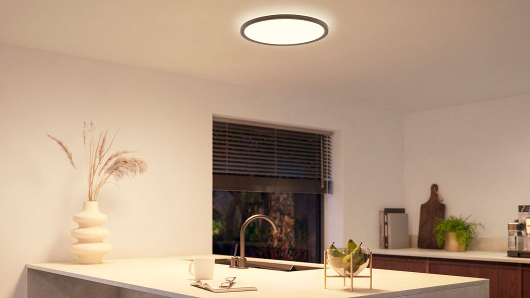 Premium Ceiling Lights Online - Philips Ceiling Lights & Bulbs