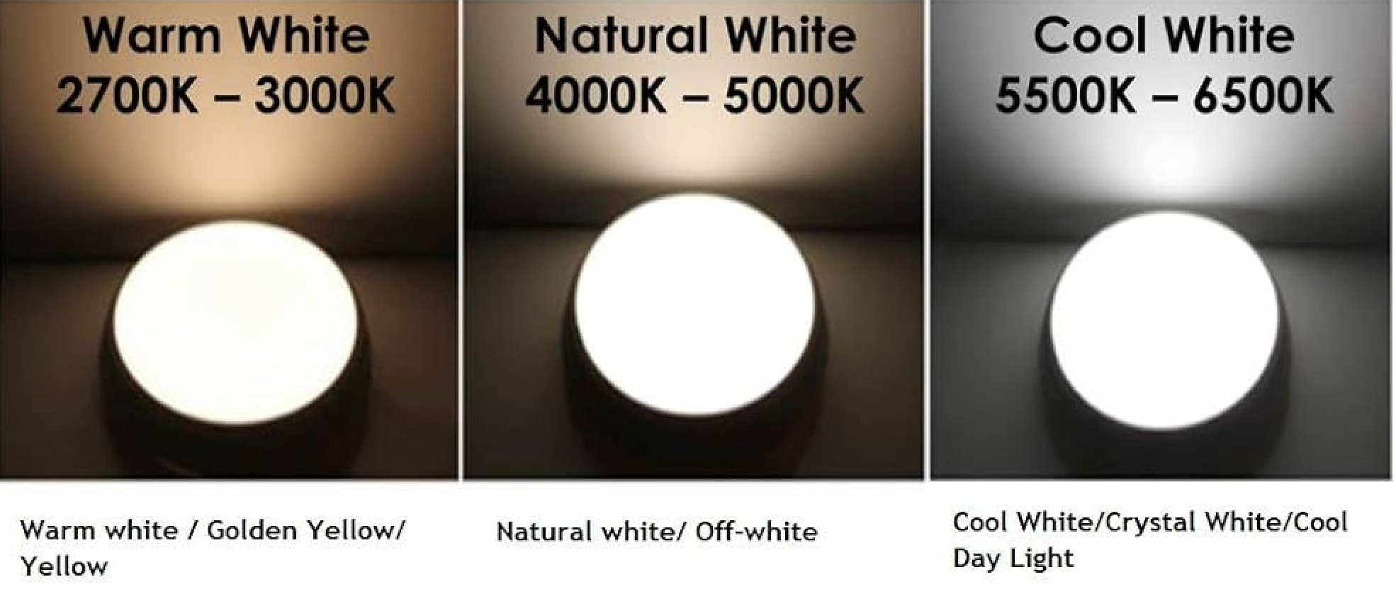 Choose the Right Light Color